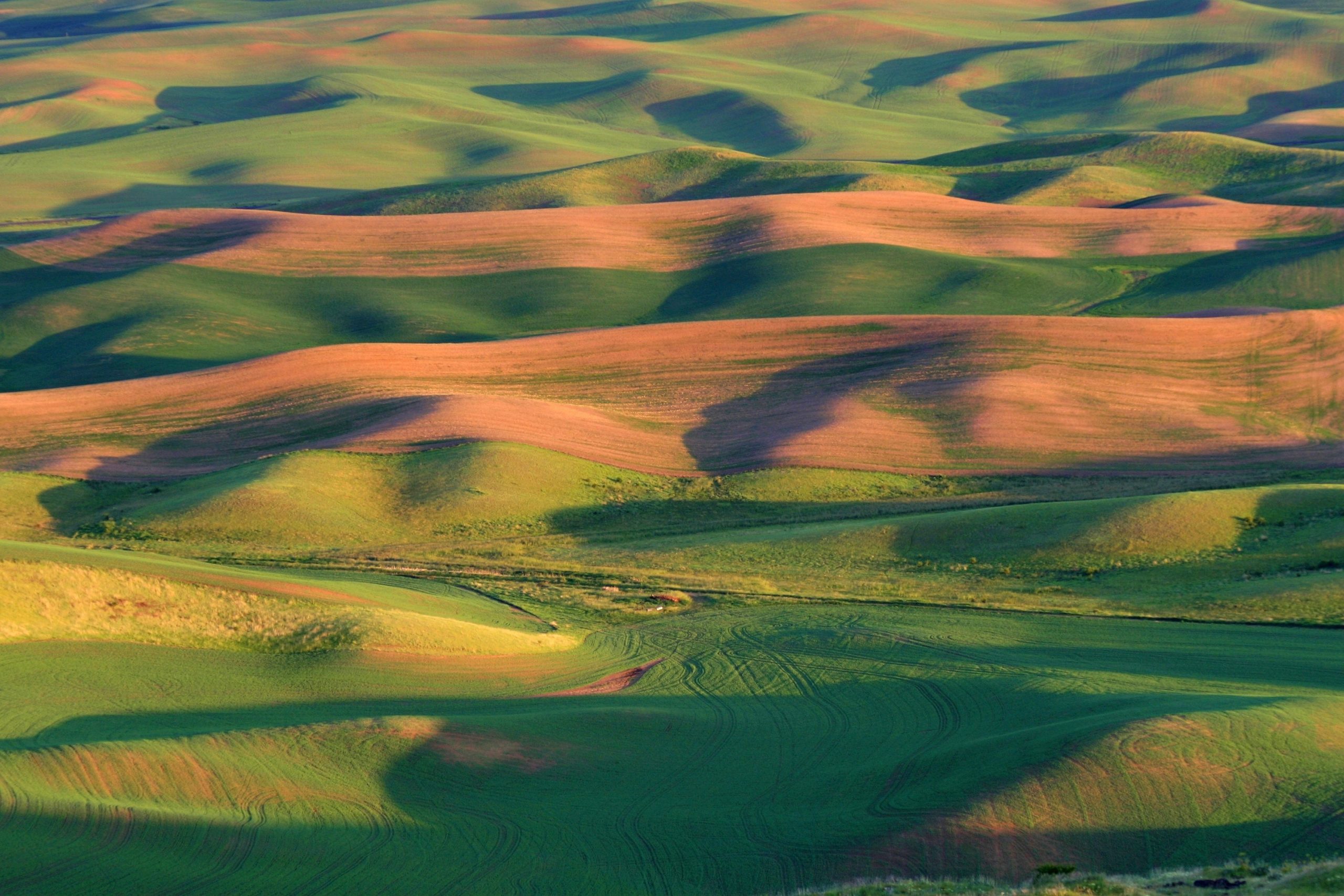 WatchKit Tutorial: How to Develop Apps for Apple Watch - Metova